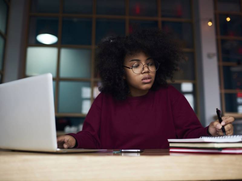 Unesp Universidade Estadual Paulista Portal